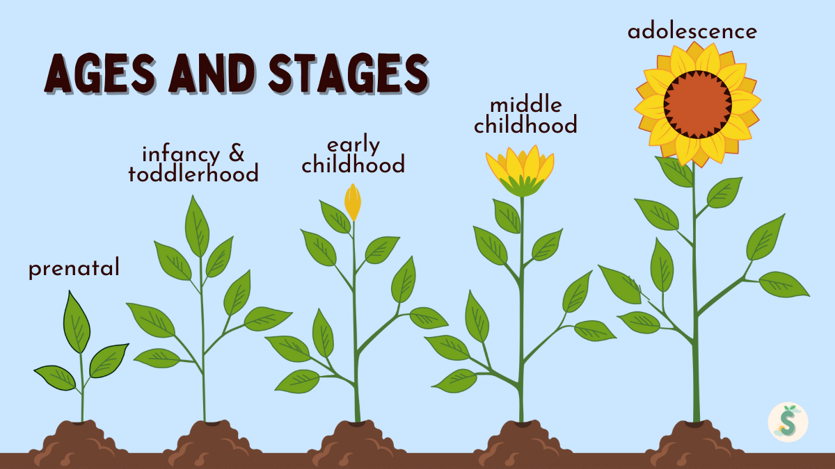 Ages and Stages of Child Development: A Brief Overview – Sunny Sprouts ...