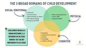 The 3 Domains of Childhood Development – Sunny Sprouts by Miss Jane